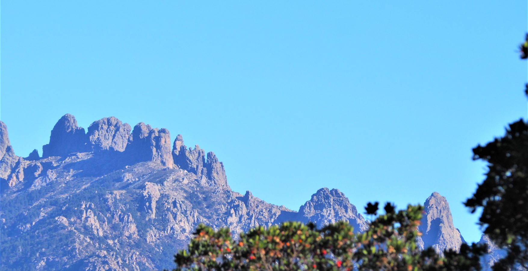 Visiter la micro-région de l'Alta Rocca en Corse-du-Sud
