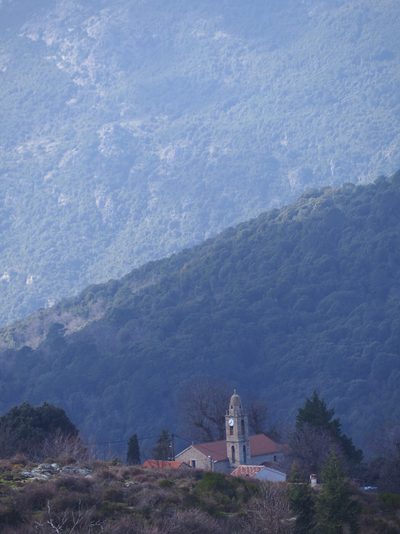 Vacances en Corse-du-Sud : visiter la micro-région de l'Alta Rocca